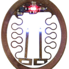 Animal research telemetry implant - NeuroLux - TSE Systems - for ...