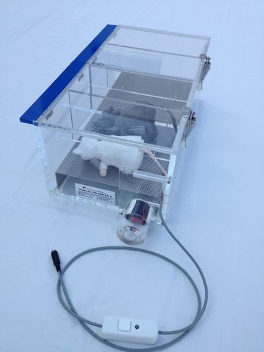 Veterinary anesthesia induction chamber - PS-0348-AP - Rothacher ...