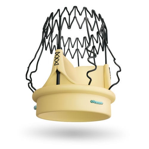 Aortic valve bioprosthesis - PERCEVAL™ PLUS - LivaNova - bovine tissue ...