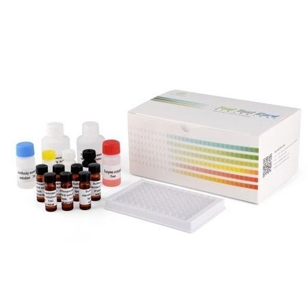 Veterinary test kit - PRRSV - ROC Biotech Inc. - for animals / virus ...