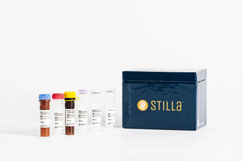 Oncology test kit - EGFR 6 - Stilla Technologies - for EGFR mutations ...