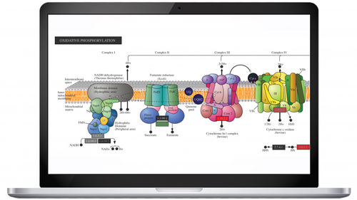Analysis software - Pathway™ - Partek, Inc. - for genetics / laboratory