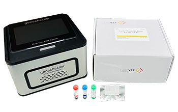 Veterinary test kit - CareDx™ - Genesystem Co., Ltd. - for canines ...