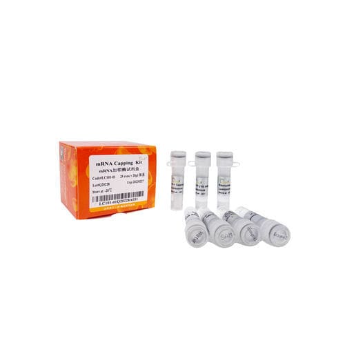 Enzyme reagent kit - LC101-0 series - TransGen Biotech Co. - in vitro ...