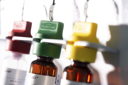 Solution reagent kit - Celsis AMPiScreen® - Charles River Laboratories ...