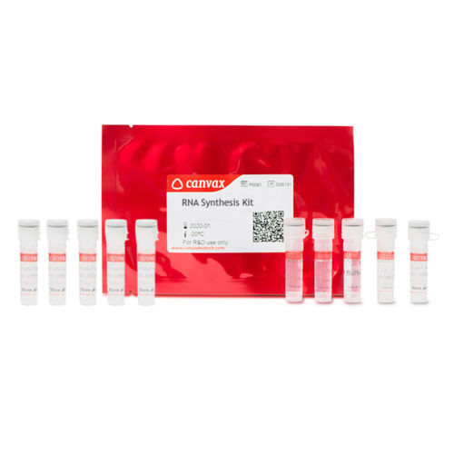 Enzyme reagent kit - CVX™ - Canvax - RNase inhibitor / for research ...