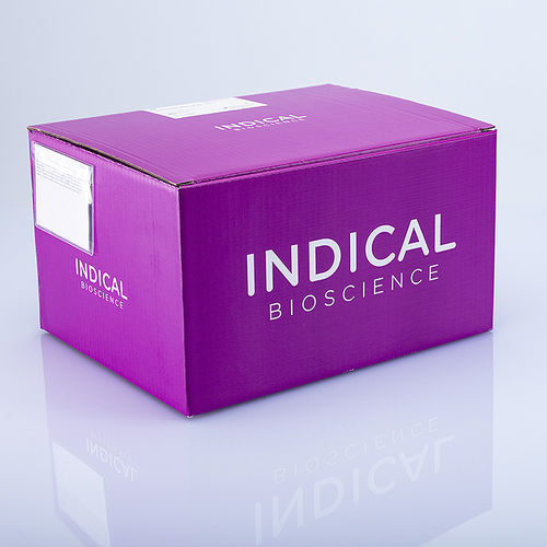 Mastitis test kit - SP69805 - INDICAL BIOSCIENCE - for DNA