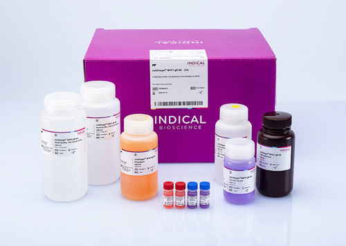 Herpes test kit - cattletype - INDICAL BIOSCIENCE - for animals / serum ...