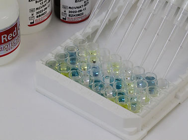 ELISA kit - Redcell Biotechnology - COVID-19 / immunity / for ...