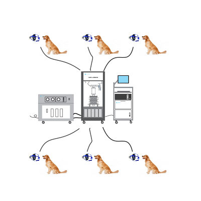 Animal research inhalation chamber - NOE - Shanghai TOW Intelligent ...