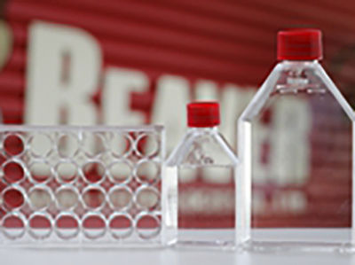 Cell culture flask - 404 series - BEAVER