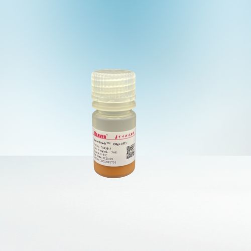 Magnetic bead-based reagent - BeaverBeads™ Oligo dT - BEAVER - for research