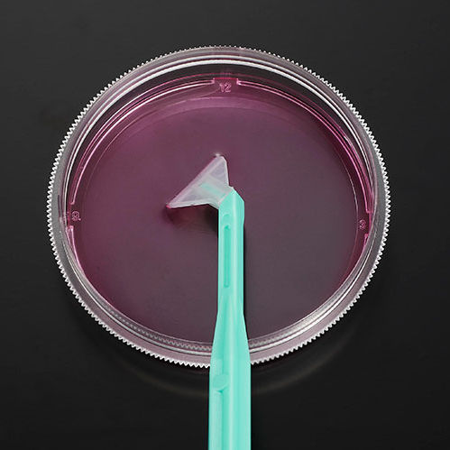 Cell scraper - CSC21 series - Guangzhou Jet Bio-Filtration Co., Ltd.