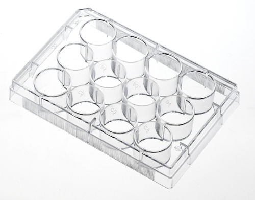 Laboratory microplate - TCP001001 - Guangzhou Jet Bio-Filtration Co ...