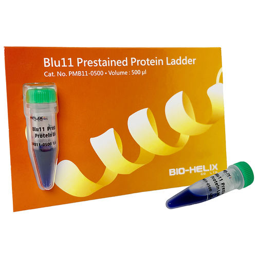 Protein ladder - Blu11 - Bio-Helix - for Western blot / urea / pH