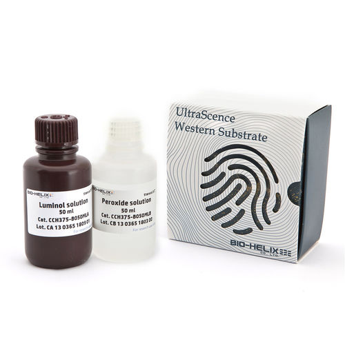 Antibody - UltraScence Femto Plus - Bio-Helix - antigen / IgG / for ...