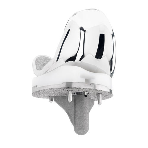 Total knee prosthesis - Evolution®BIOFOAM® - MicroPort Orthopedics ...