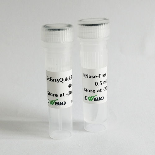 Reverse transcriptase reagent kit - EasyQuick RT - Jiangsu CoWin ...