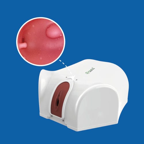 Hysteroscopy simulator - PLGQ1001 - Shanghai Preclinic Medtech ...
