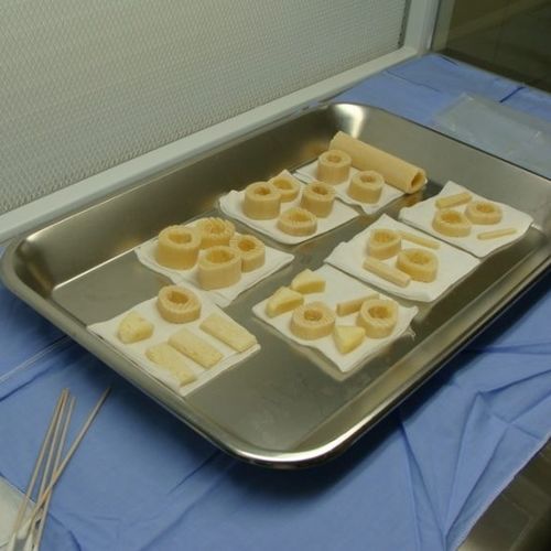 Allograft bone substitute - CenoBiologics - for orthopedic surgery ...