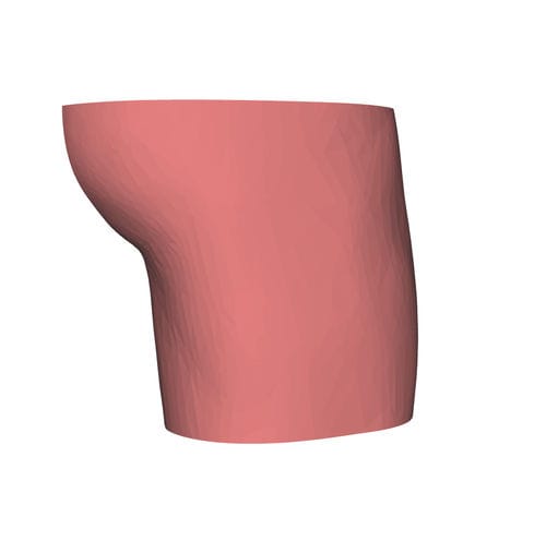 Hip model - HUM-H - manikinmate - puncture / injection / for ultrasound ...