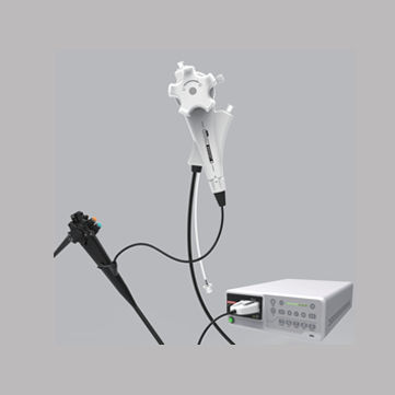 Single use video cholangioscope - Seegen