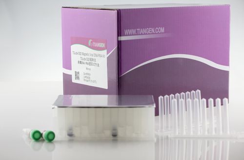 Magnetic Bead Based Reagent Kit Tguide S32 Tiangen Biotech For