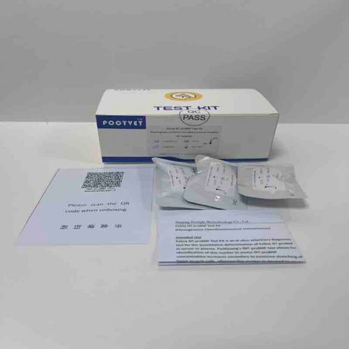 Infectious disease test kit - Poclight - veterinary / for felines / NT ...