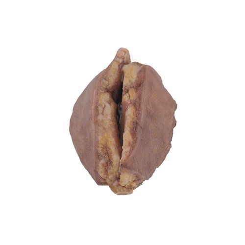 Breast model - PS-002 - MeiWo Science - for teaching / for cancers ...