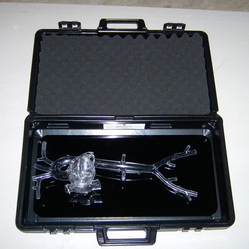 Cardiac anatomy model - Sam - Lake Forest Anatomicals, Inc ...