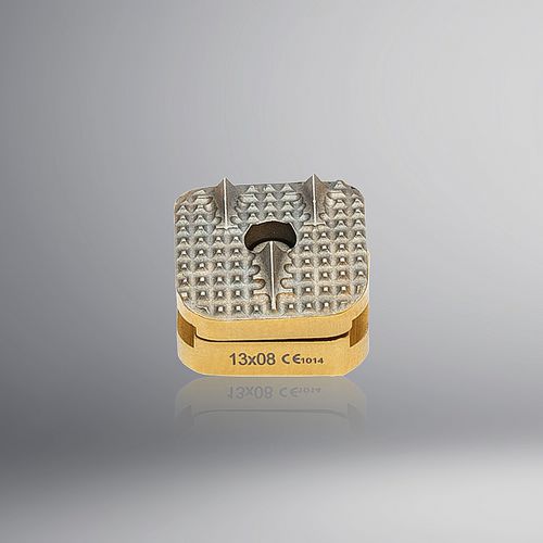 Cervical disc prosthesis - Karmed Health Products