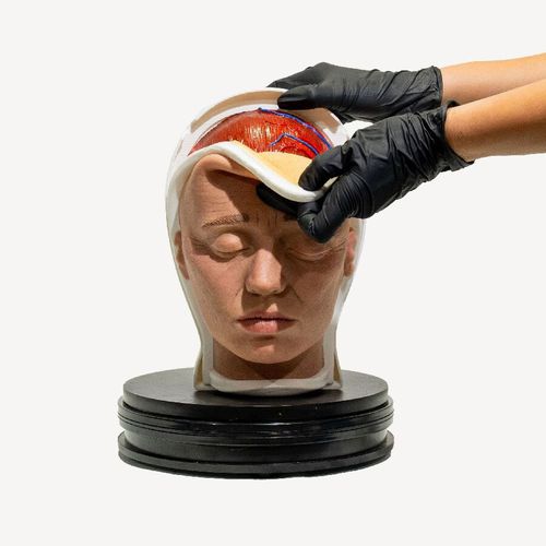 Training simulator - Relamed simulators - surgical / head