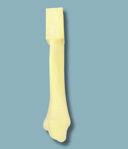 Tibia anatomical model - 03-16-01 - ADDIDREAM - surgery / training / trauma