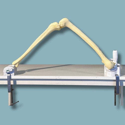 Knee model - 04-24-01 - ADDIDREAM - bone / orthopedic surgery / training