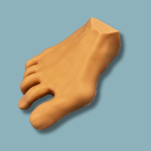 Foot anatomical model - 01-12-03 - ADDIDREAM - skin / for mini-invasive ...