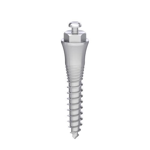 Titanium implant screw - Ancora - Bionika Medline Kft. - screw / smooth