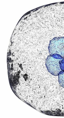 Cancer test kit - HERIGUARD™ MMR - Geneseeq - oncology / for genetic ...