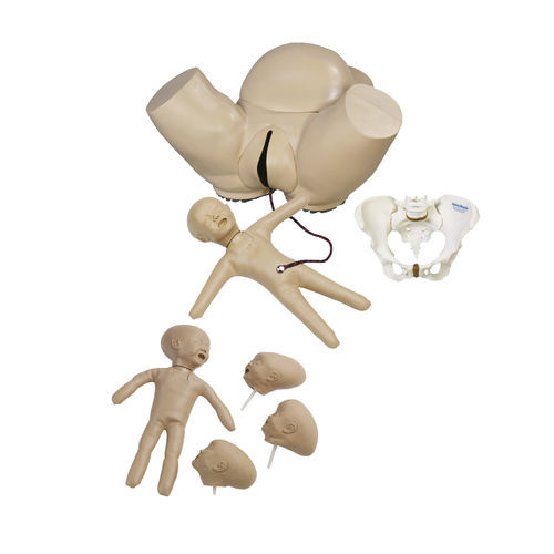 Training simulator - AR57 - Adam, Rouilly - palpation / delivery ...