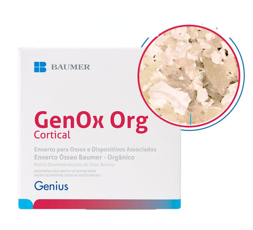 Xenograft bone substitute - GenOx Org - BAUMER - for dental sugery ...