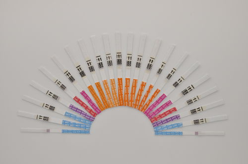 Rapid drug abuse test - 7005C - Shanghai Chemtron Biotech Co.,Ltd ...