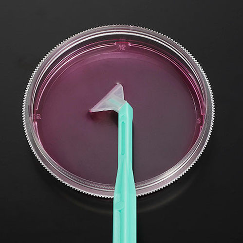 Cell scraper - D200034 - Deltalab