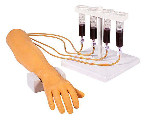 Intravenous injection simulator - 7010 - Erler-Zimmer - for general ...