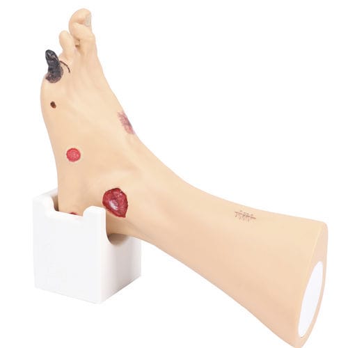 Amputation simulator - 7630 - Erler-Zimmer - wound management ...