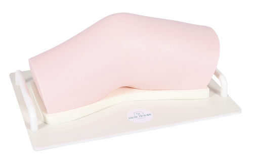 Medical imaging simulator - SEZ-KN - Erler-Zimmer - training / anatomy ...