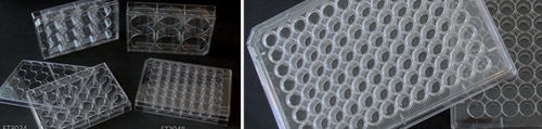 Cell culture microplate - ET3048 - EuroClone - 48-well
