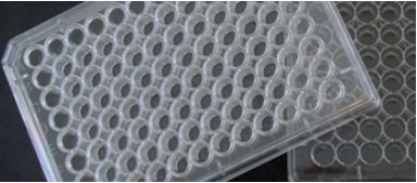 Laboratory microplate - Primo® - EuroClone - for cell cultures / 48-well