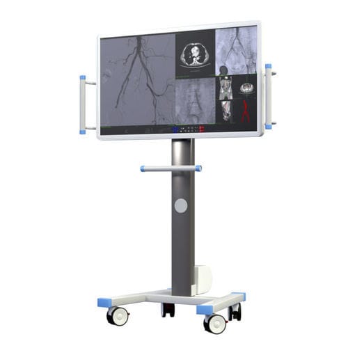 Medical imaging monitor - Eurocolumbus - 4K / 55" / portable