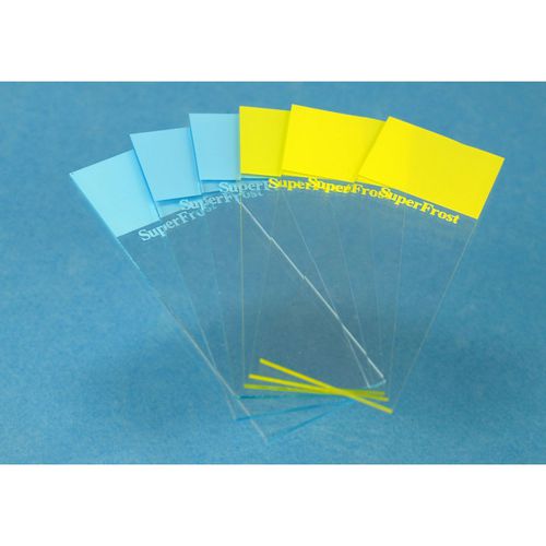Microscope slide - SuperFrost® - Glaswarenfabrik Karl Hecht