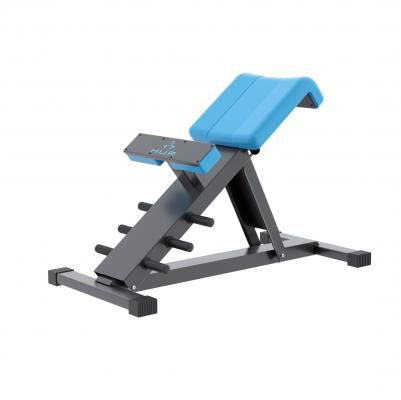 Lumbar extension weight training bench - 1100 - HUR
