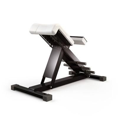 Lumbar extension weight training bench - 1100 - HUR